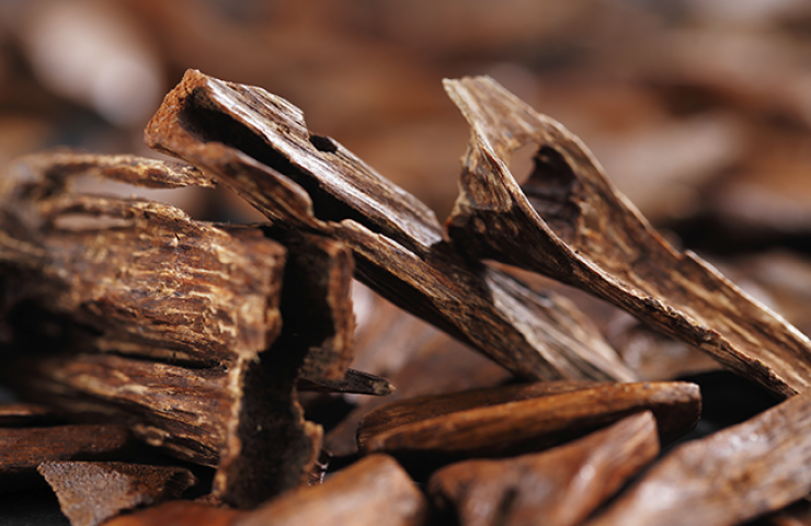 OUD FRAGRANCE OIL – ALL YOU NEED TO KNOW – ALT. Fragrances